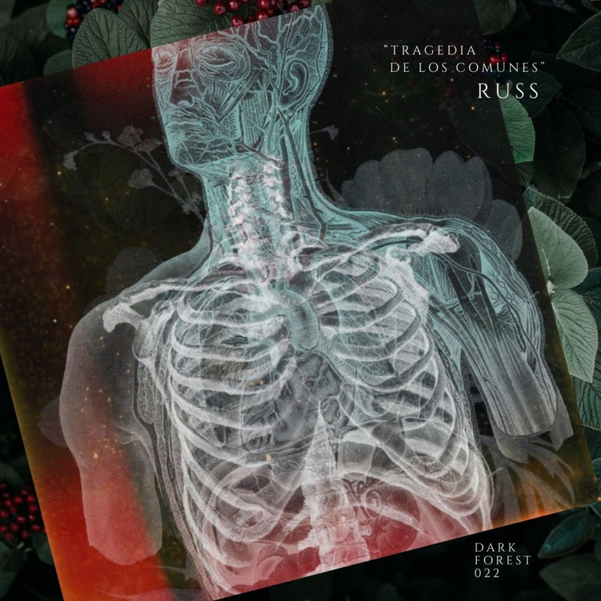 Tragedia de los Comunes - DarkForest 022 | Russ (Arg) | DarkForest