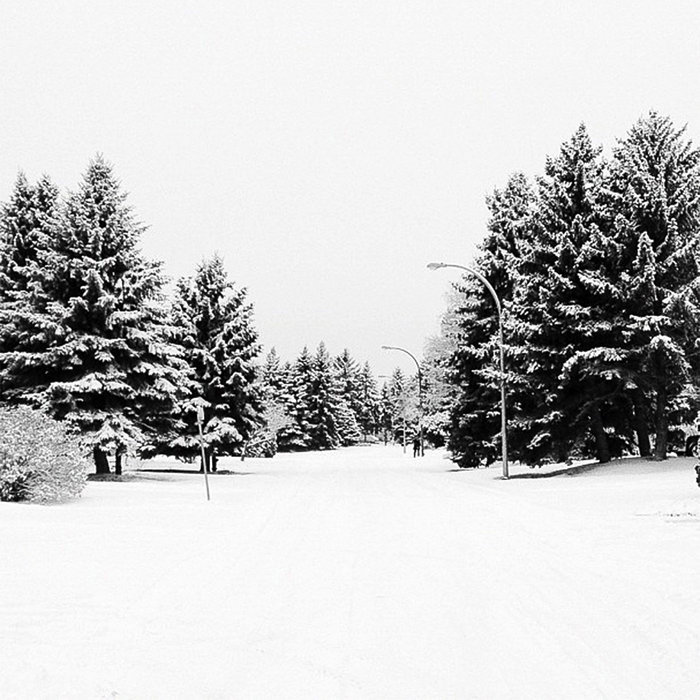 Winter | Nicholas Gammon