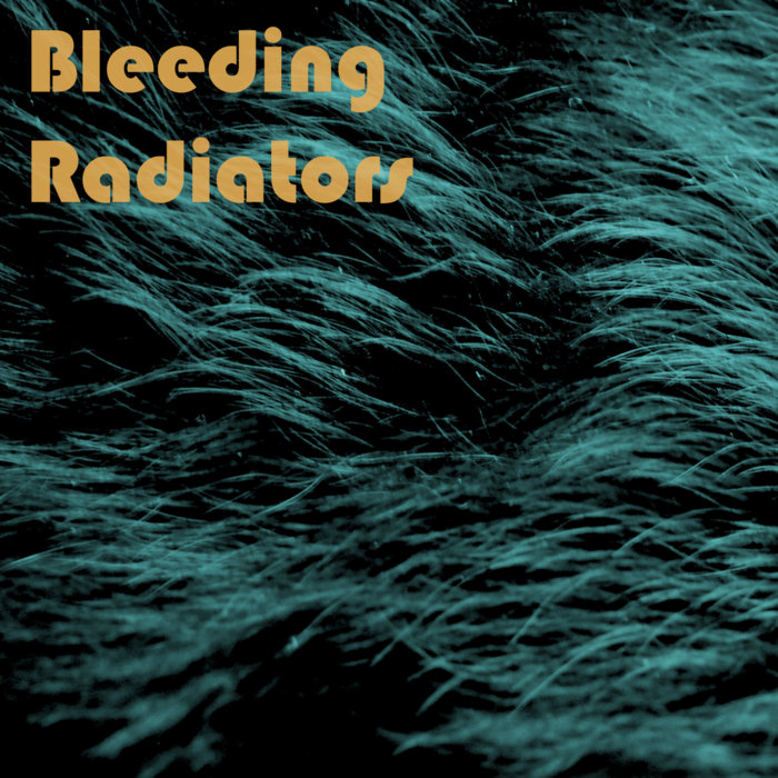 Demo1 Bleeding Radiators