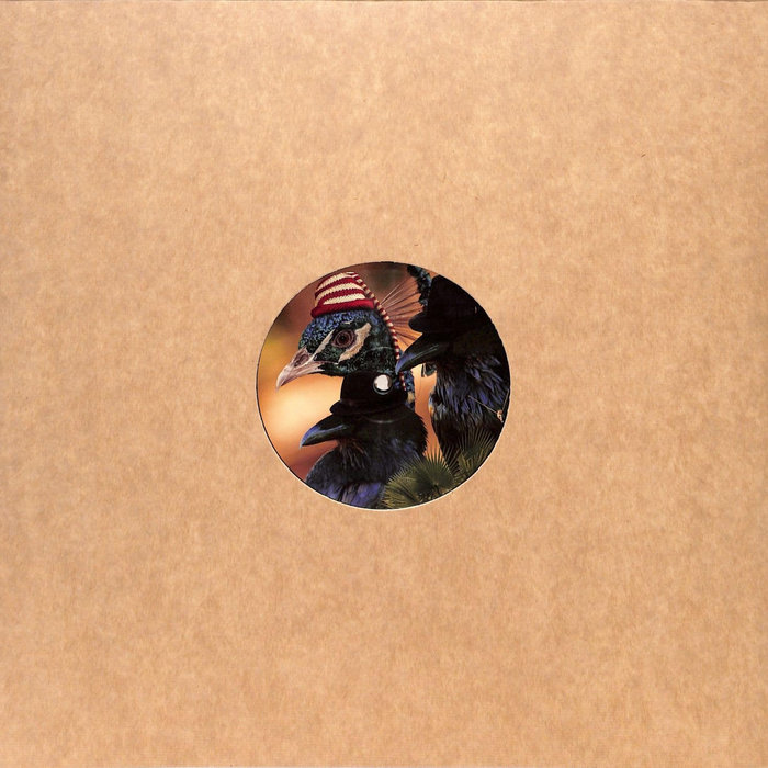 Tom Ries / Birdsmakingmachine "BIRD GANG" EP | SLOWDY MOWDY