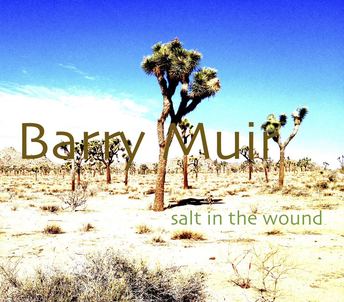 salt in the wound | Barry Muir | beba