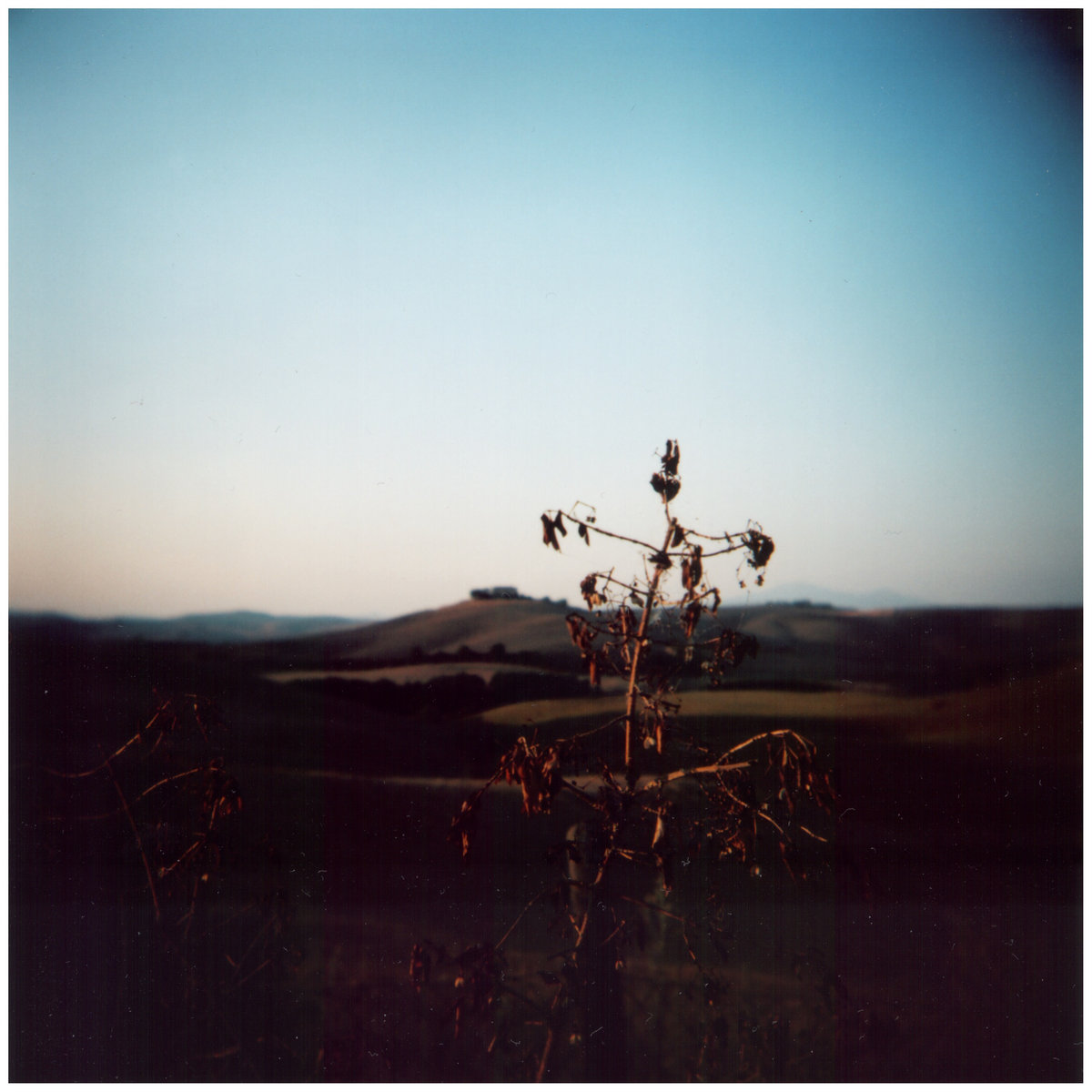 peaceholders 005 | adam farmer