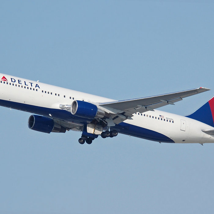 Hiding in the bushes EP | Bring back Bush