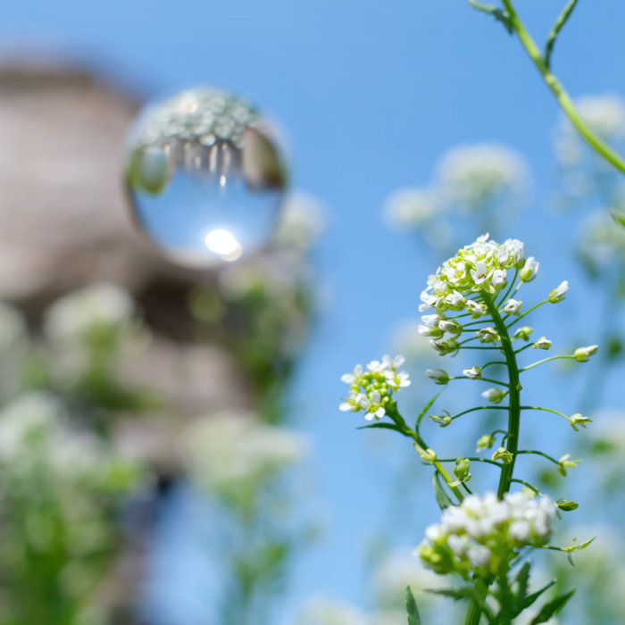 aperture, for meadow | Alexander Panos