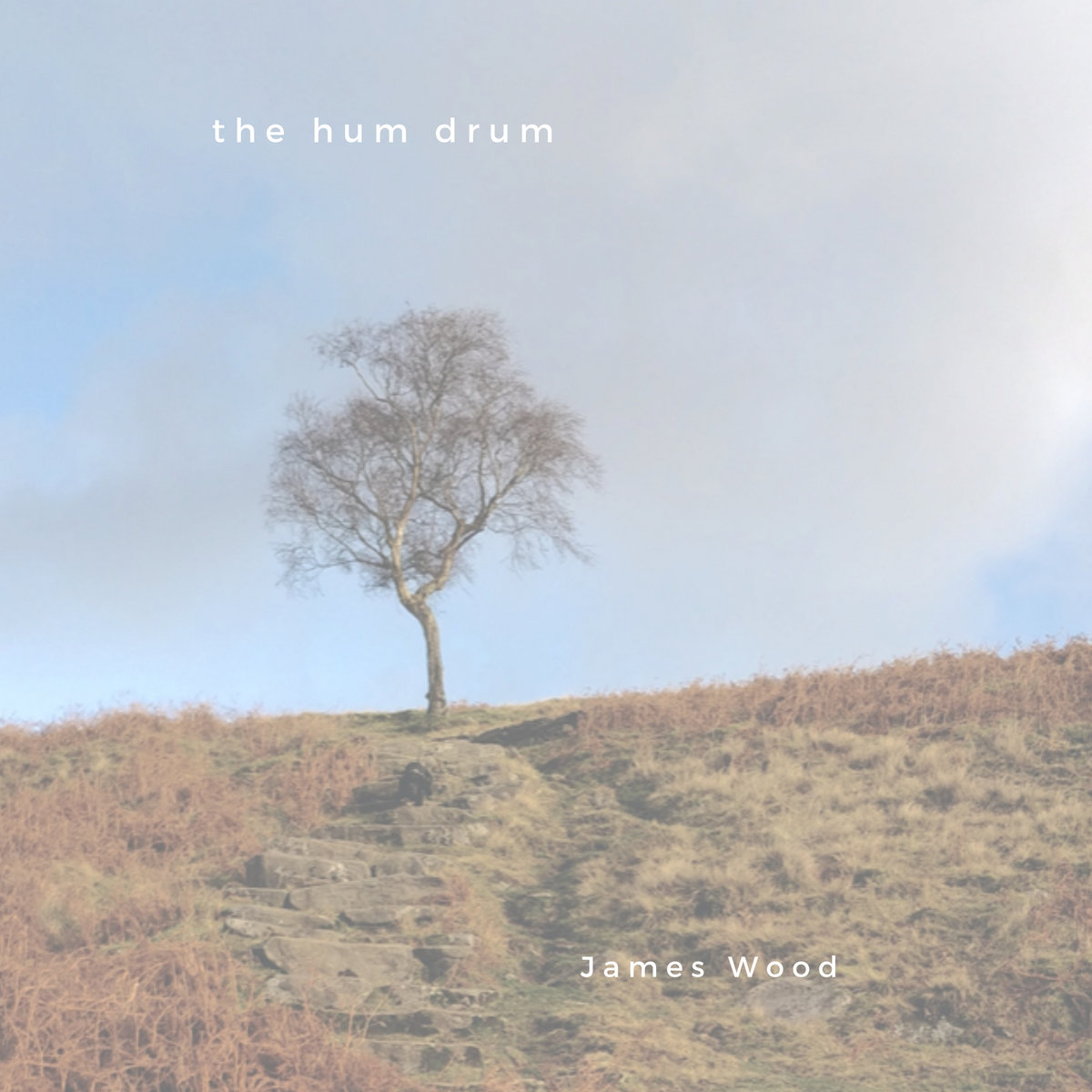 The Hum Drum | James Wood | The Adult Teeth Recording Company