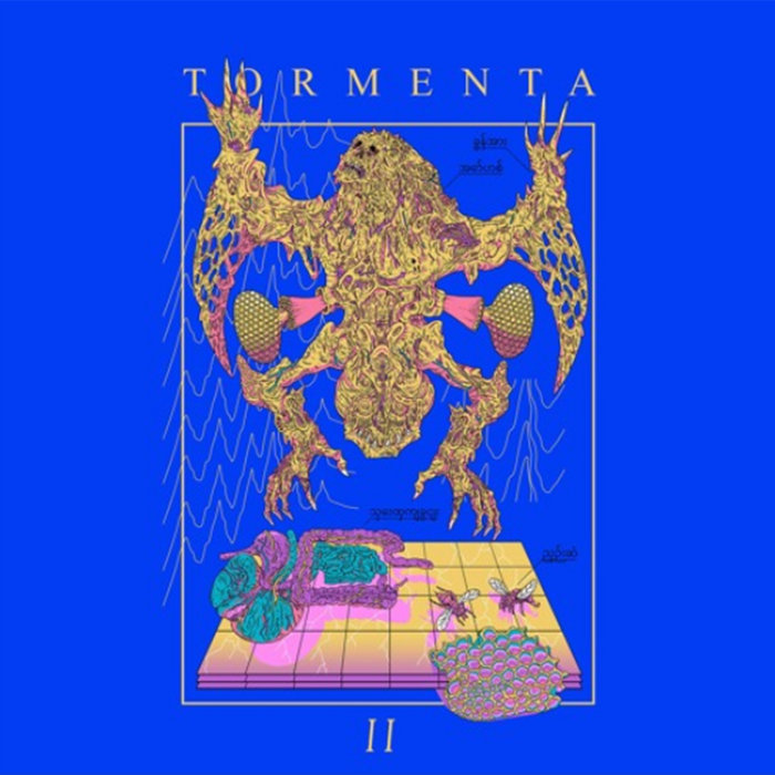 TORMENTA COMP. VOL II | Tormenta