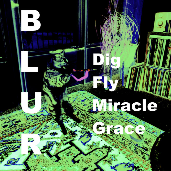 Blur Dig Fly Miracle Grace | Garth Anderson