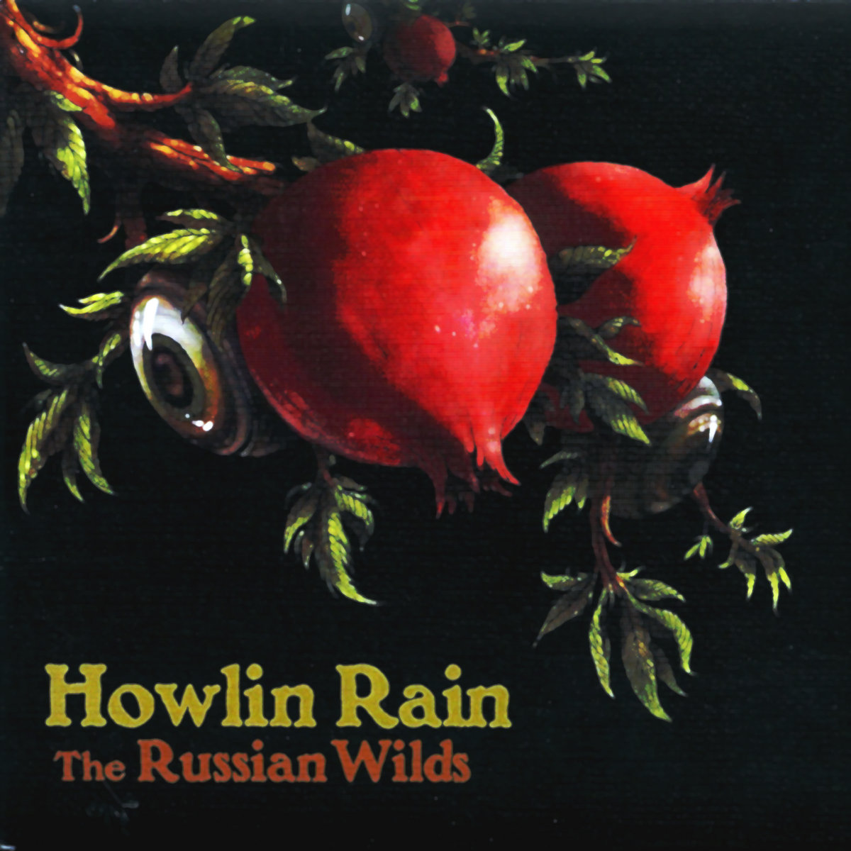 The Russian Wilds | Howlin Rain