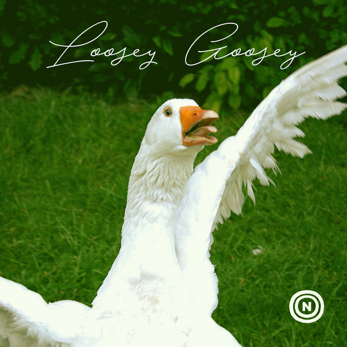 Loosey Goosey | The Noolands