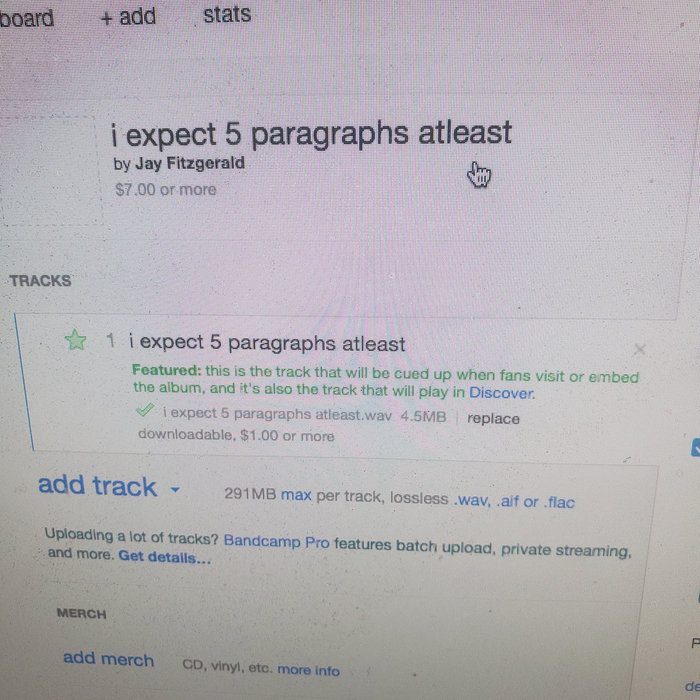 i expect 5 paragraphs atleast | Jay Fitzgerald