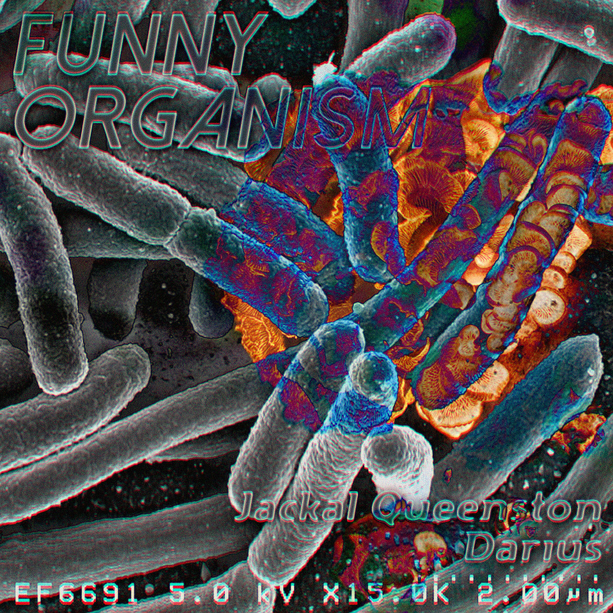 Funny Organism | Jackal Queenston & Darius | HALLEY LABS