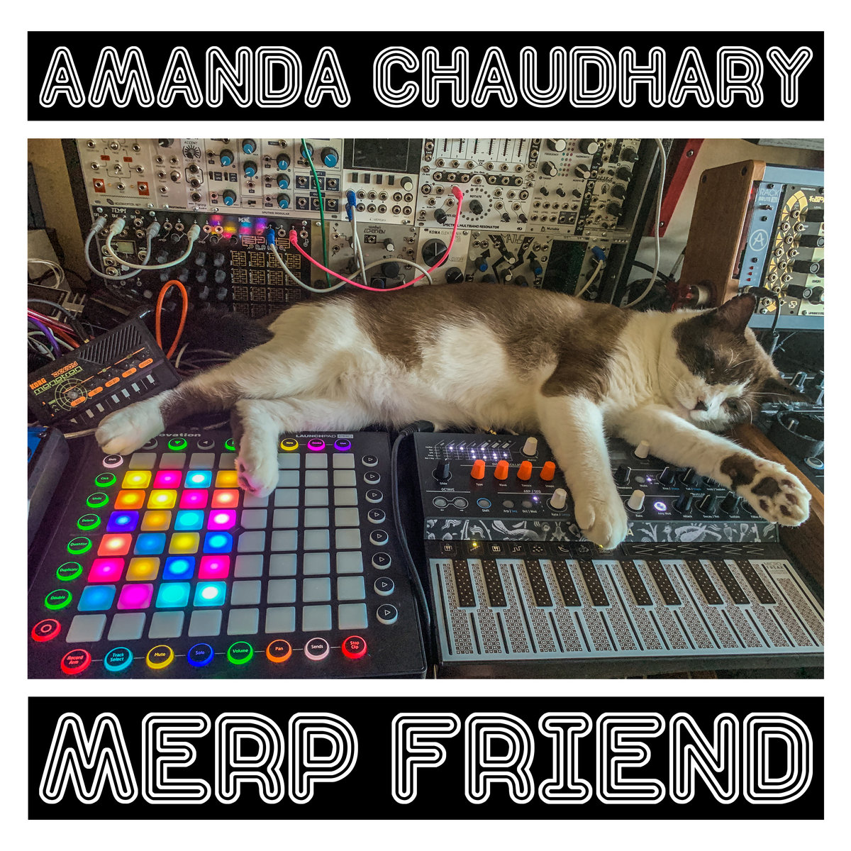 Merp Friend | Amanda Chaudhary