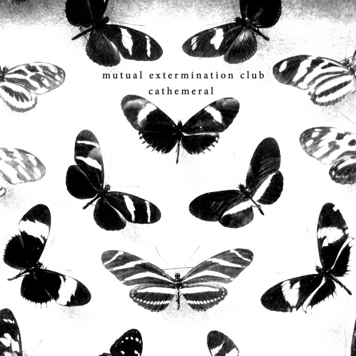 cathemeral | mutual extermination club