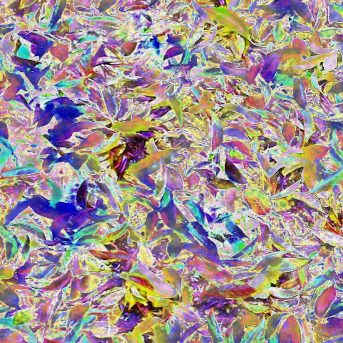 I Have an Irrational Fear that the DMC DeLorean from Back to the Future ...