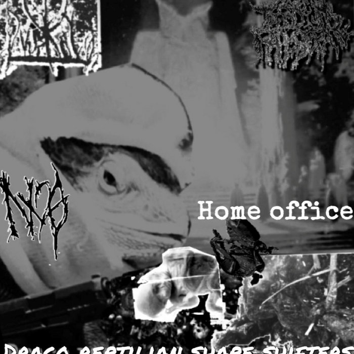 Draco Reptilian Shape-Shifters | Duskala, Trisodium Falsfate, Nx20 ...