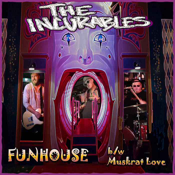 Funhouse Album Cover