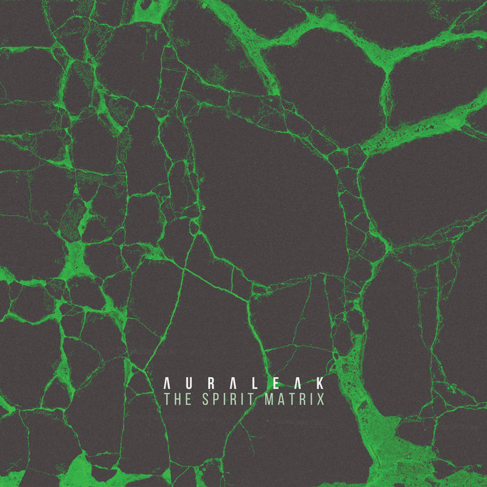 The Spirit Matrix | Auraleak