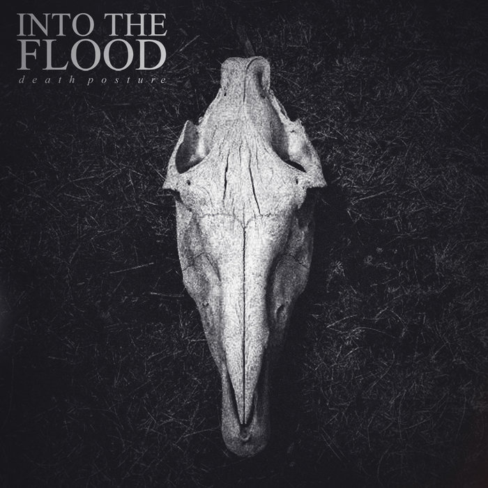 Death Posture | Into the Flood | Into The Flood