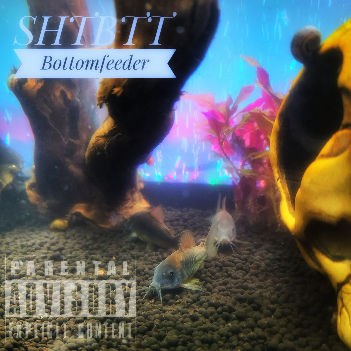 Bottomfeeder | SHTBTT