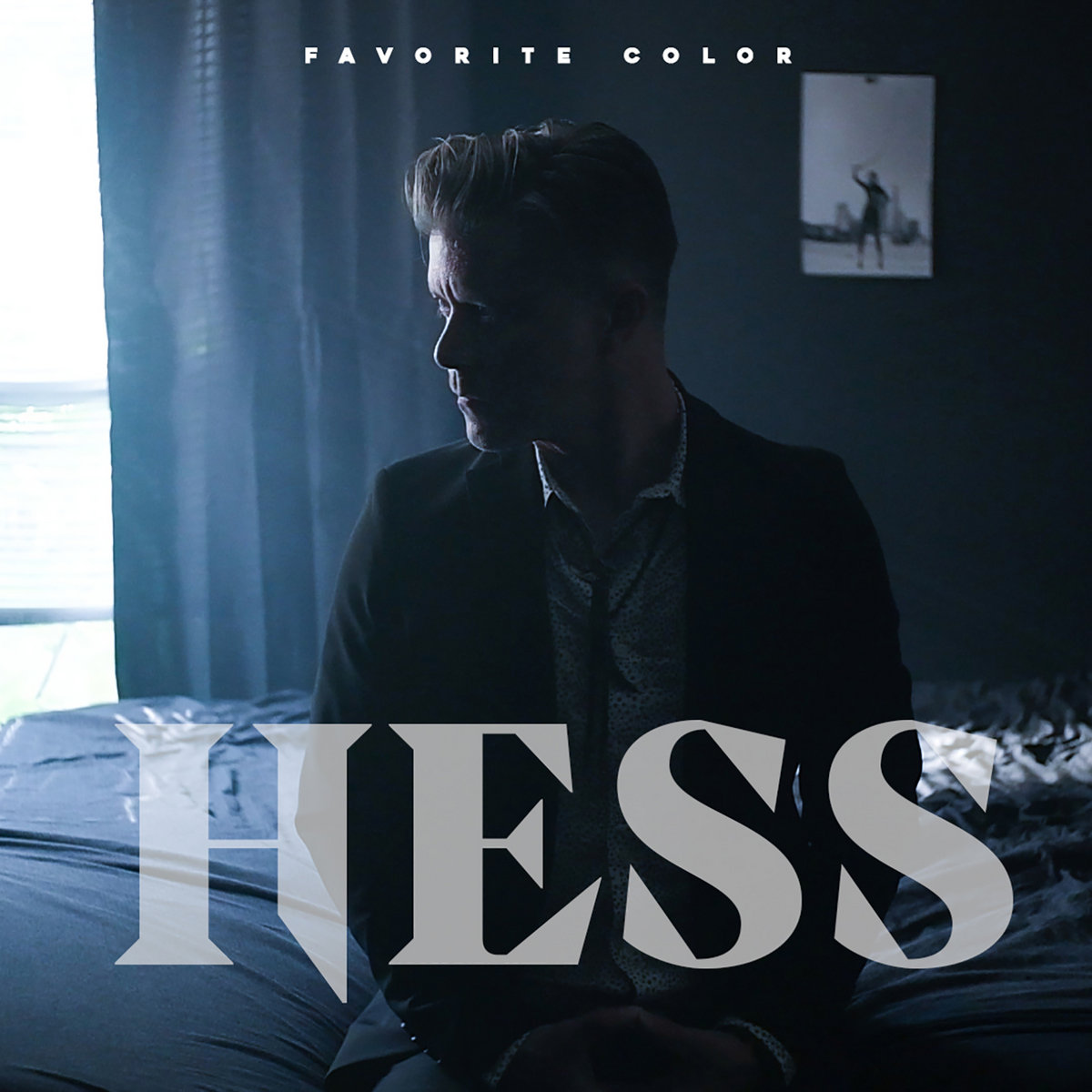 Favorite Color | Hess