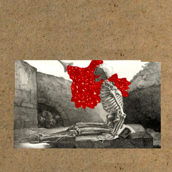 Golden Bollocks | Coshma Lynn + teh Burytails | malin