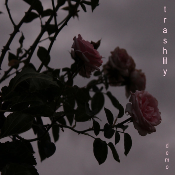 Trash Lily Demo | Trash Lily