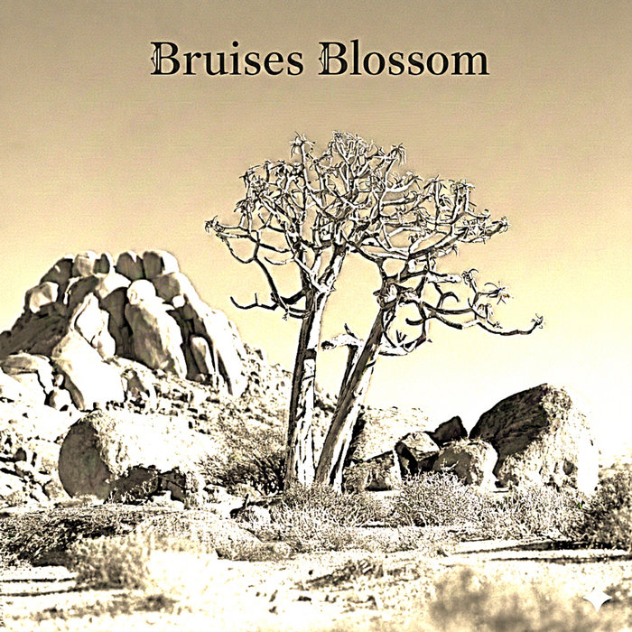 Bruises Blossom | Bruises Blossom | The Falcons of Haunt