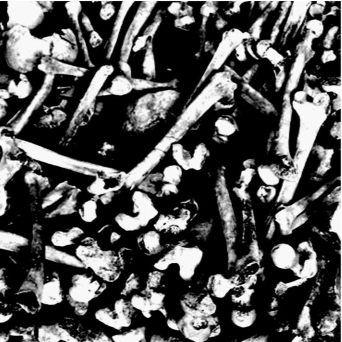 Death March | Dried Up Corpse | Dub Ditch Picnic