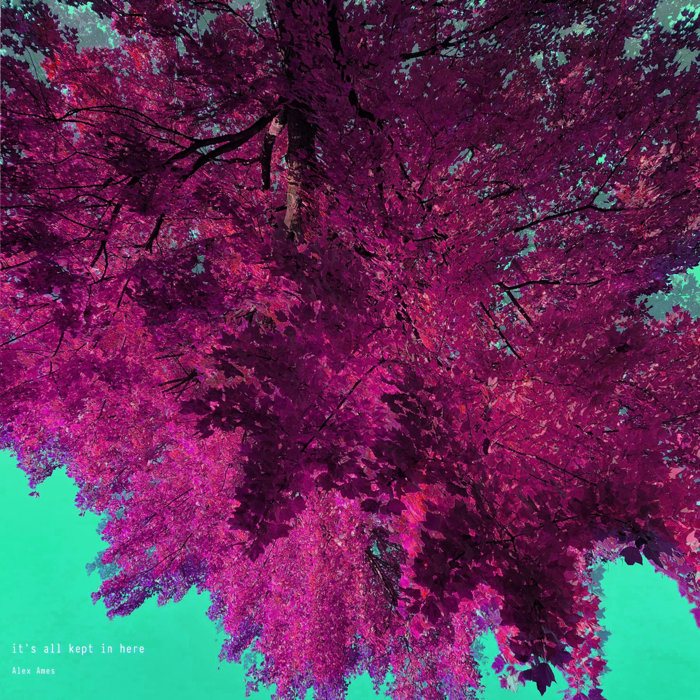 It's All Kept In Here | Alex Ames