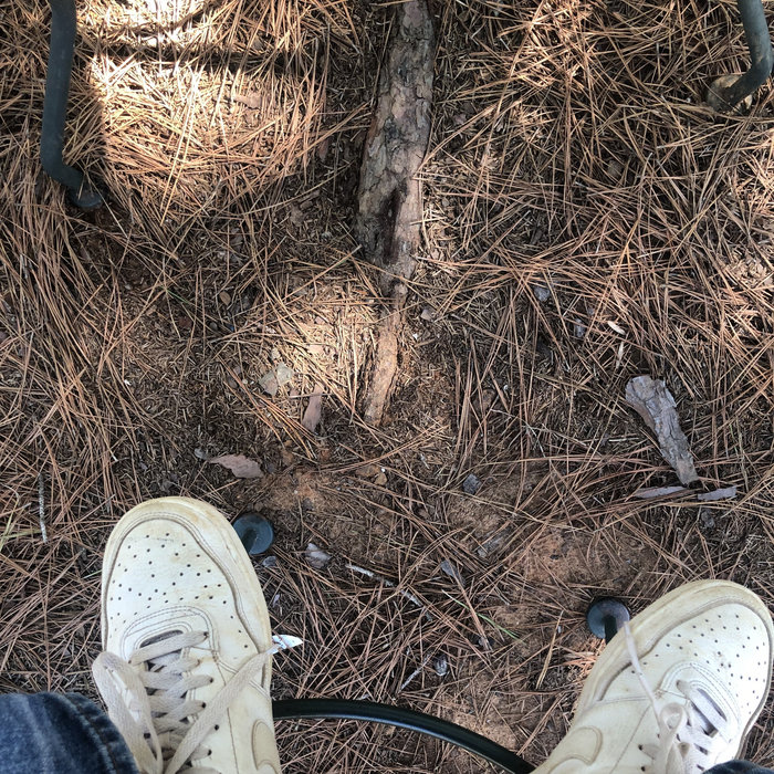 Nutshell (cover) | Self