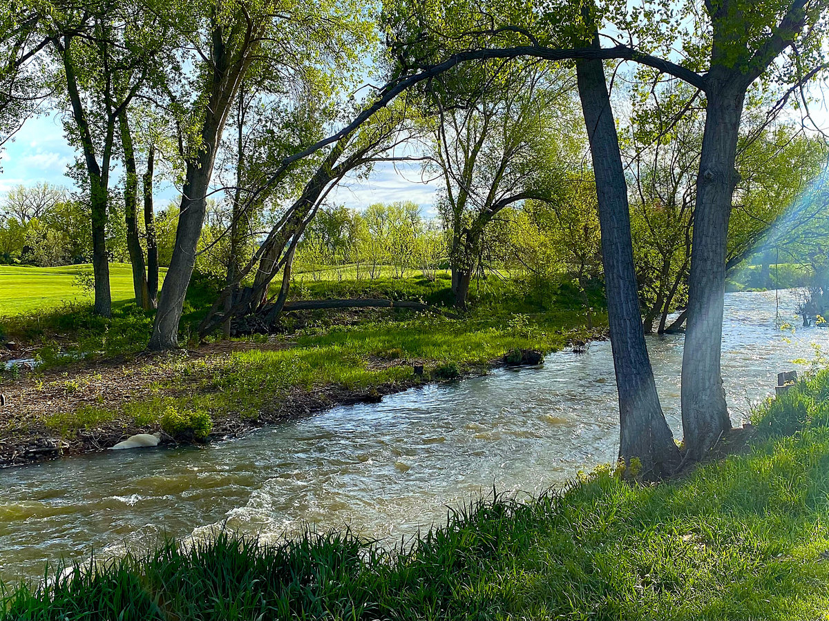 A PSA From Water | kevin deforrest | Kevin DeForrest