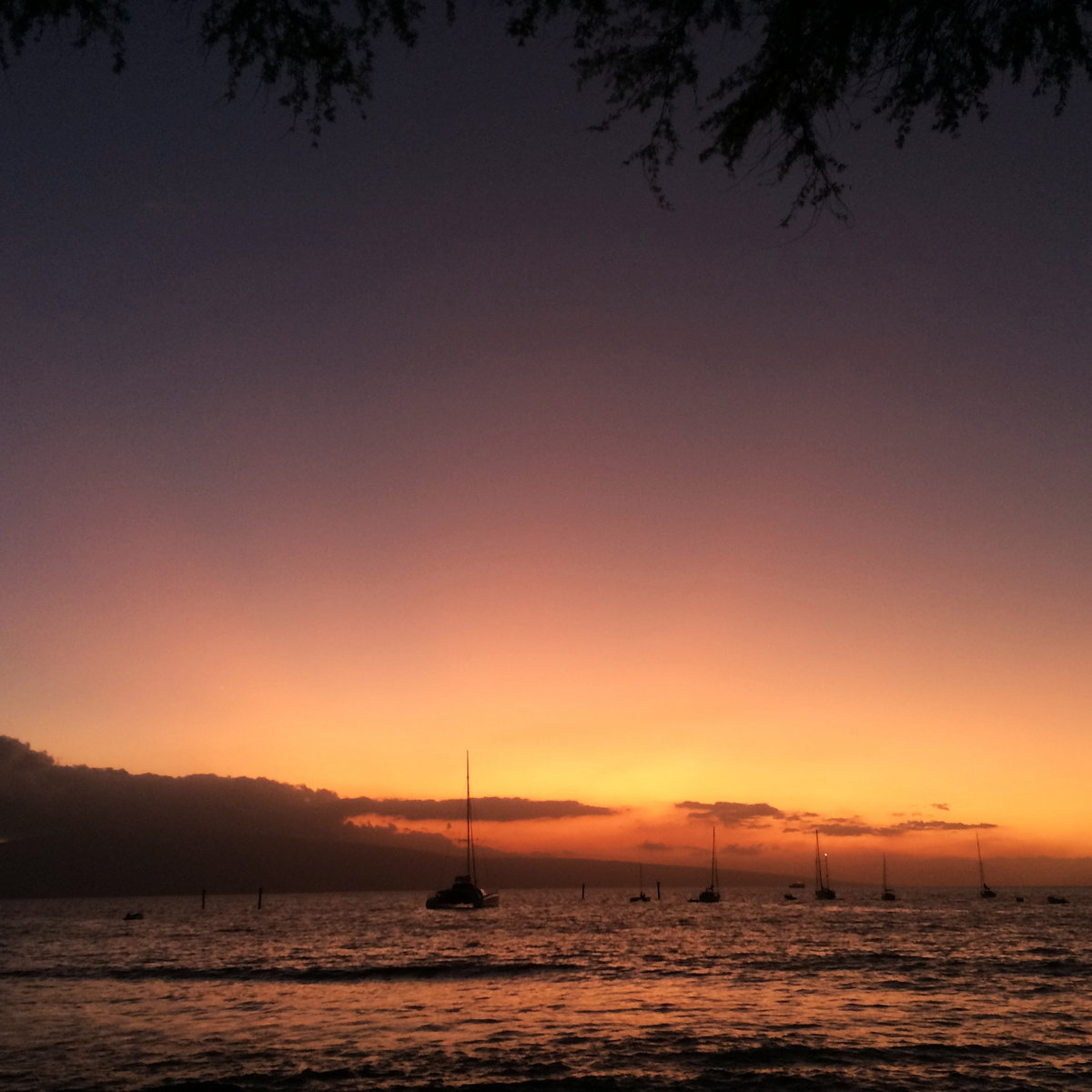 Twilight Violet | Witches Hat