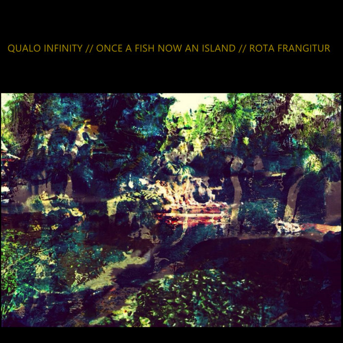 Once a Fish, Now an Island | Qualo Infinity