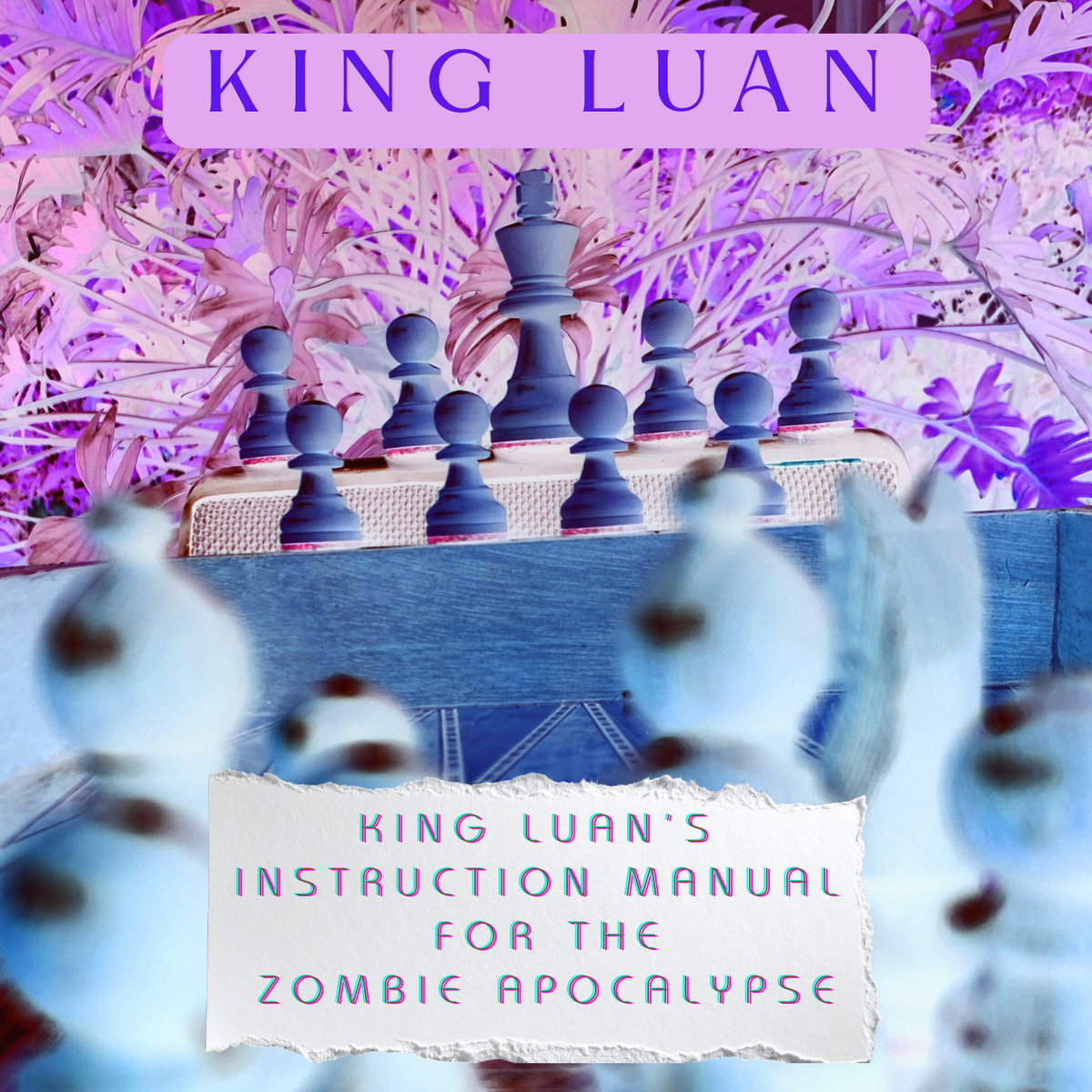King Luan's Instruction Manual for the Zombie Apocalypse | King Luan