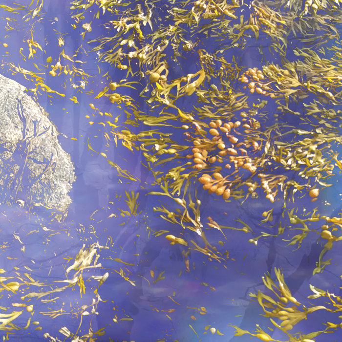 Enter The Void 2022 [VHS] | Tim Six | Tim Six • Creation VI