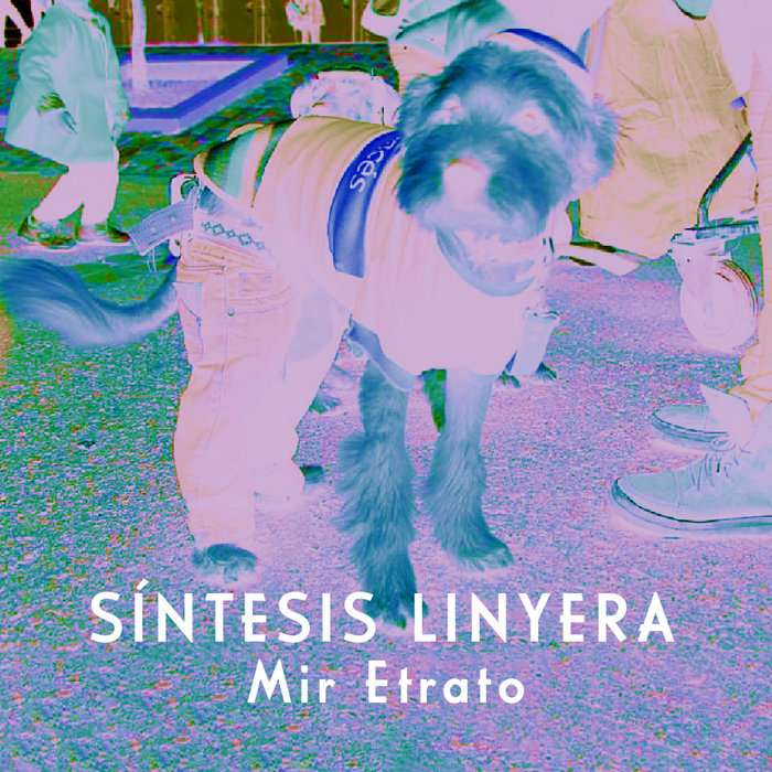 Síntesis Linyera | Patrono Of Noise
