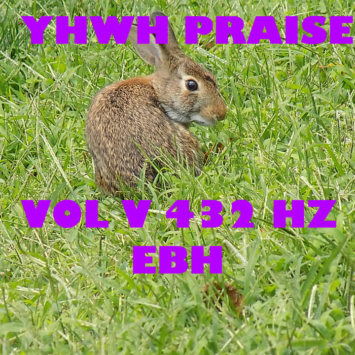 YHWH PRAISE VOL V 432 HZ | EBH