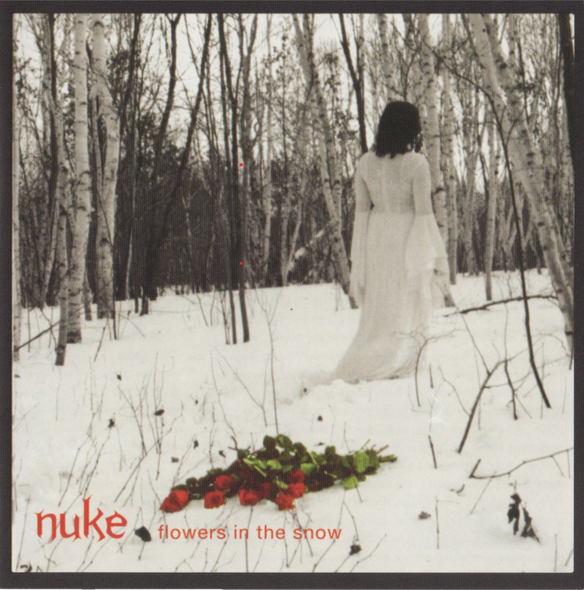 flowers in the snow | Nuke