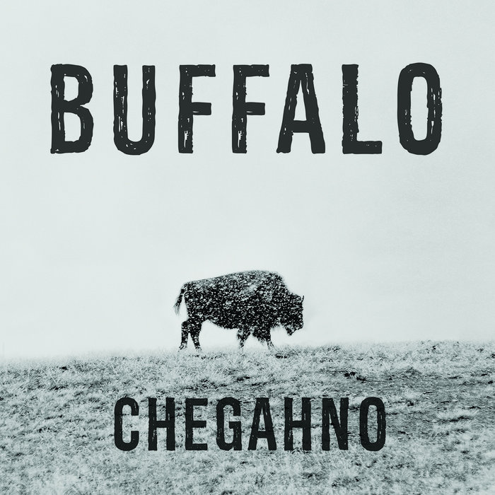 Buffalo | Chegahno