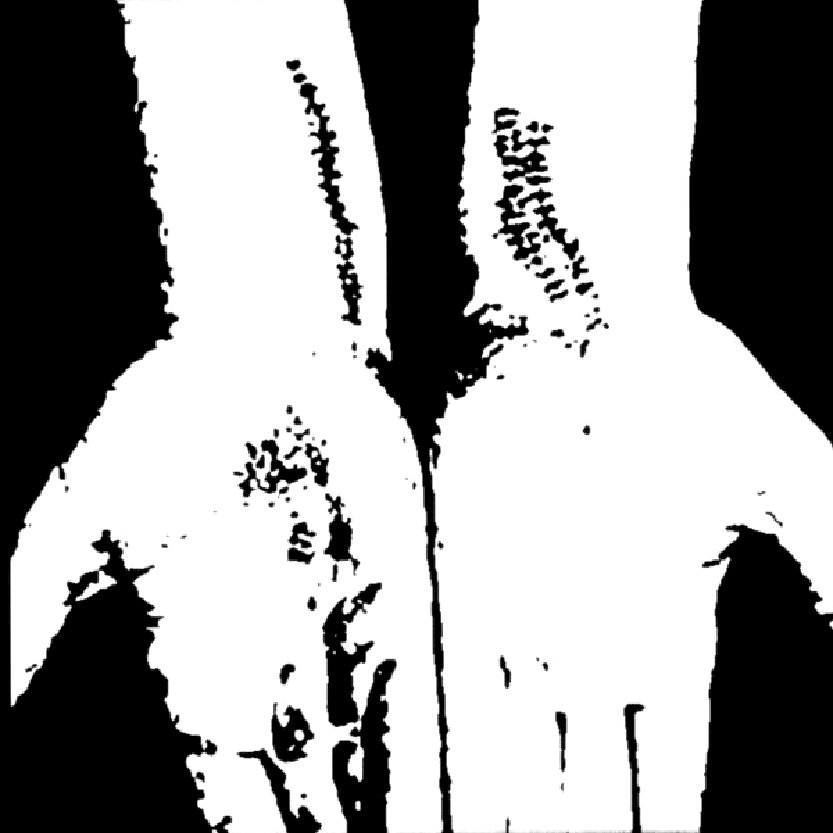 (SOLD OUT) Collection 2005-2007 | Hatred Surge | BLASTASFUK