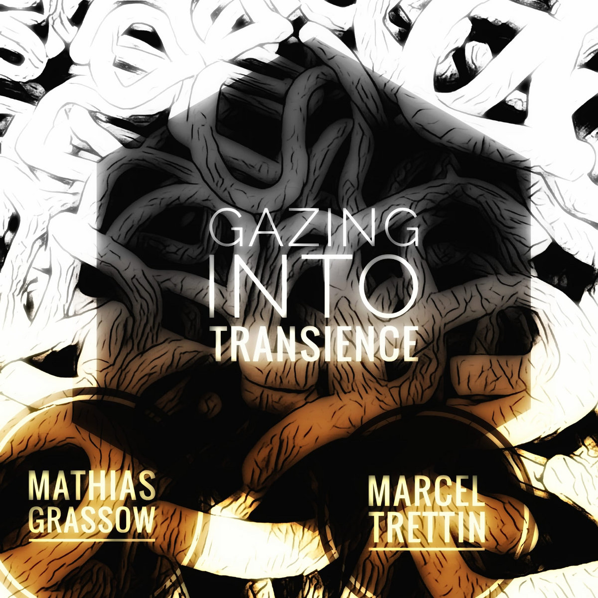 (2023/24) Gazing into transience | Mathias Grassow & Marcel Trettin ...