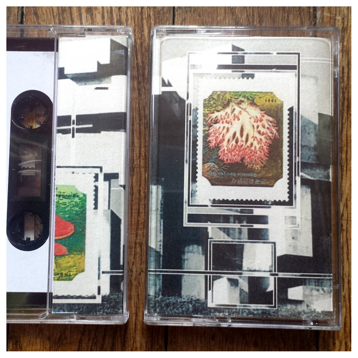 Le Codex Animal | Femme | Tanzprocesz