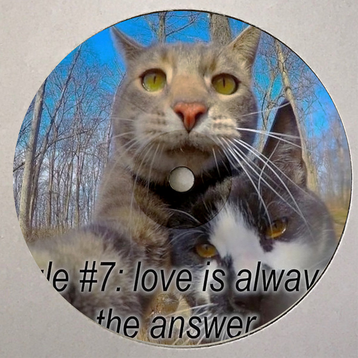 Sanctuary | Max Simas