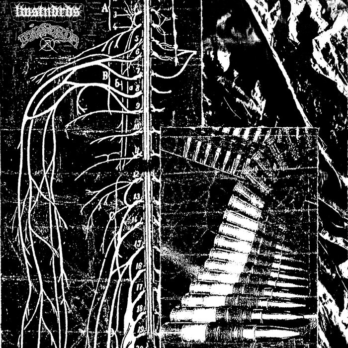 Split w/LWSTNDRDS | disforija