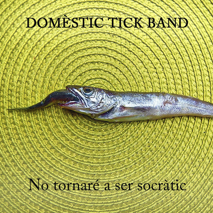 No tornaré a ser socràtic | Domèstic Tic Band