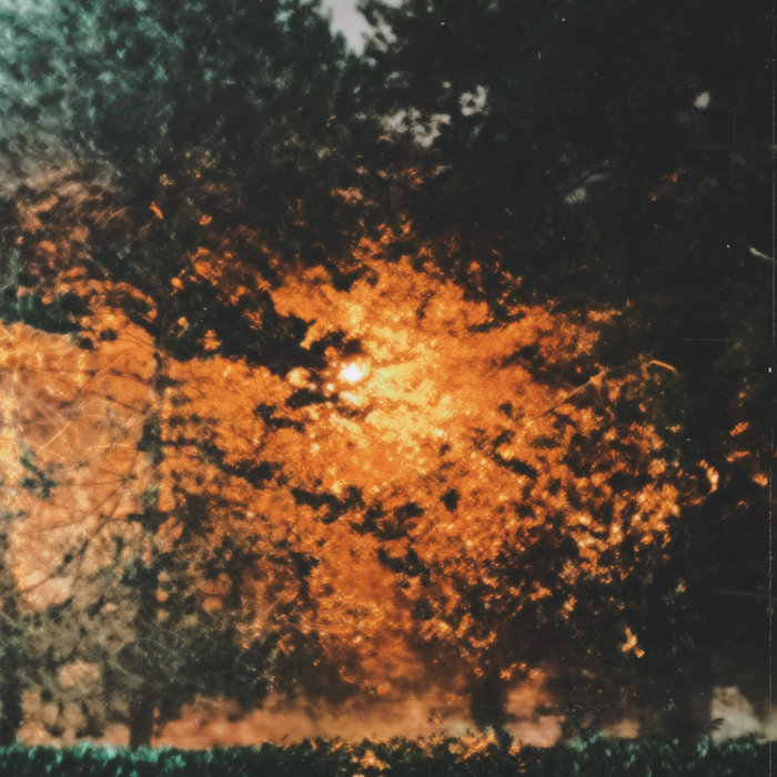 Dear Scott | Goliath