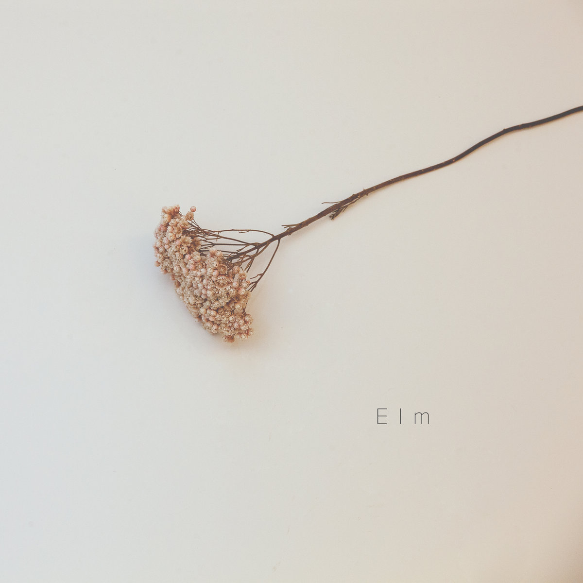 Elm | Arabesque Choche