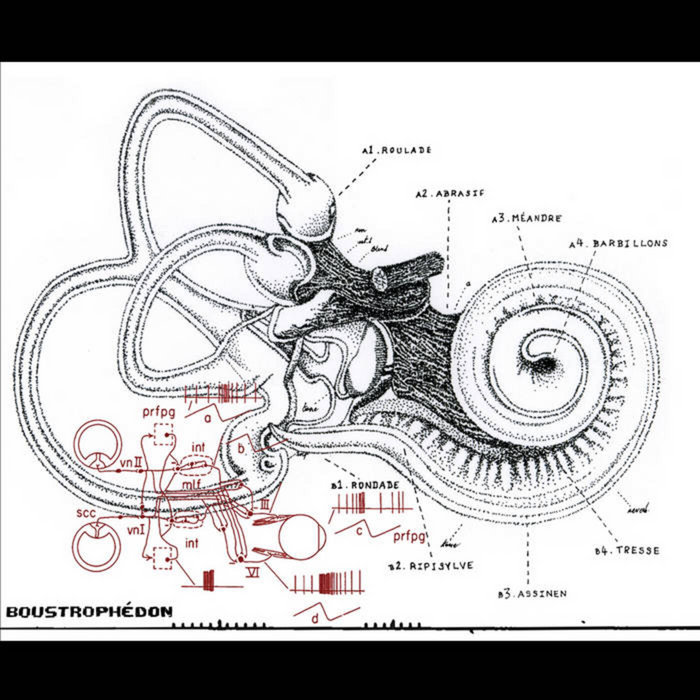 Boustrophédon | À TRAVERS | À Travers