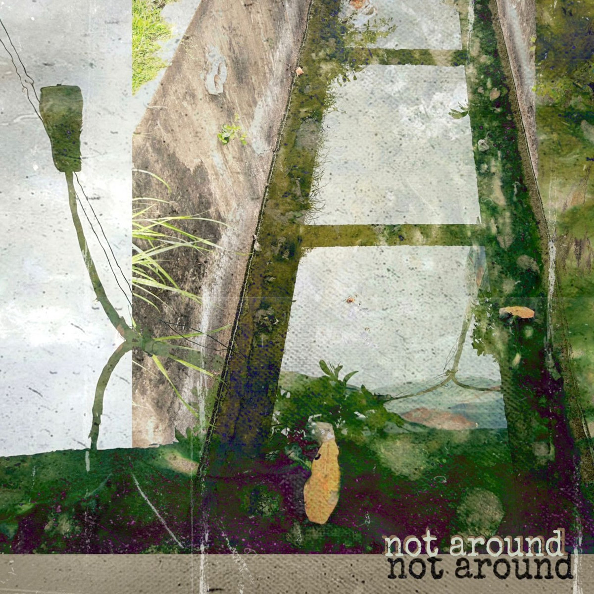 Not Around | dogtooth