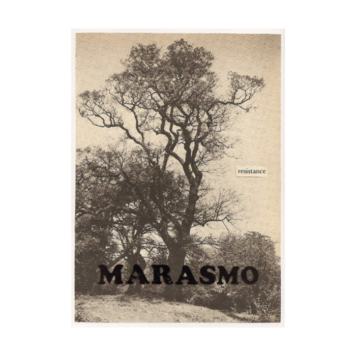 Resistance | Marasmo